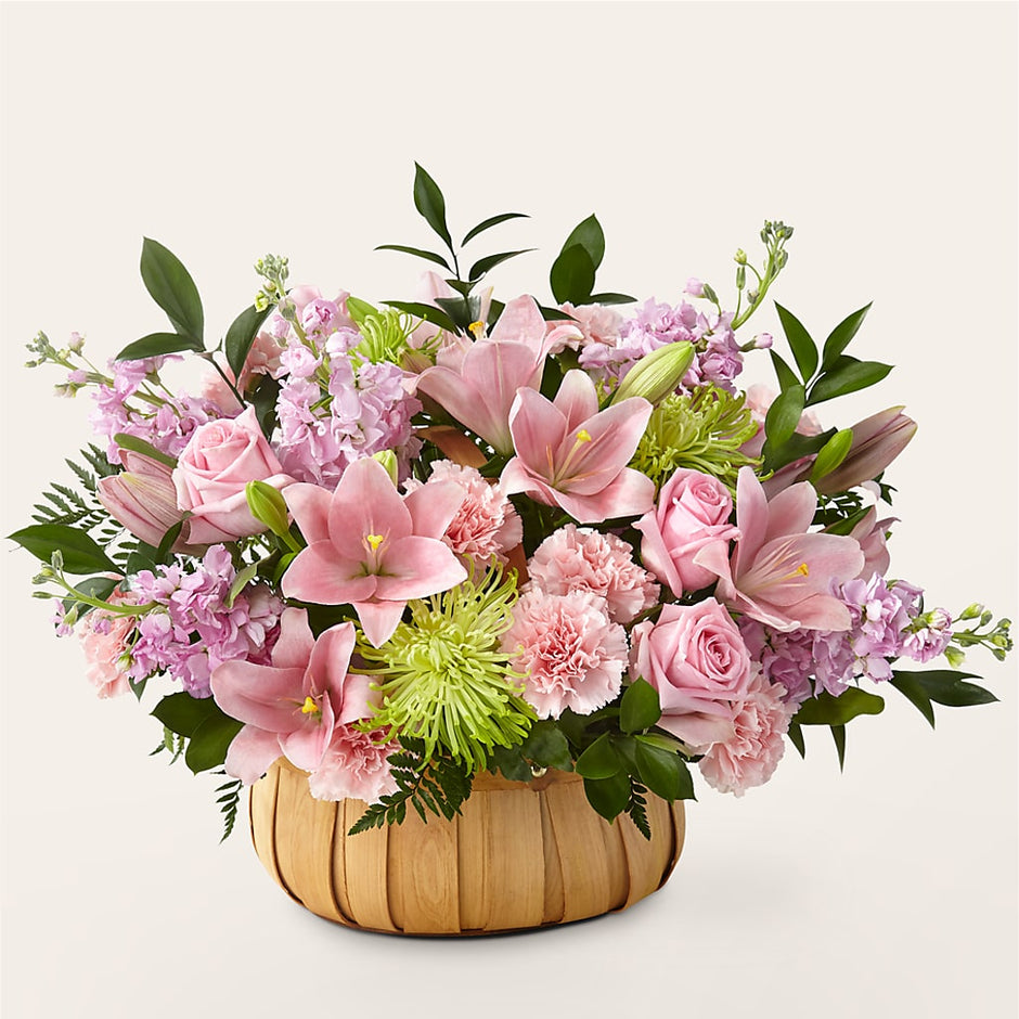 Sympathy Collection Sets